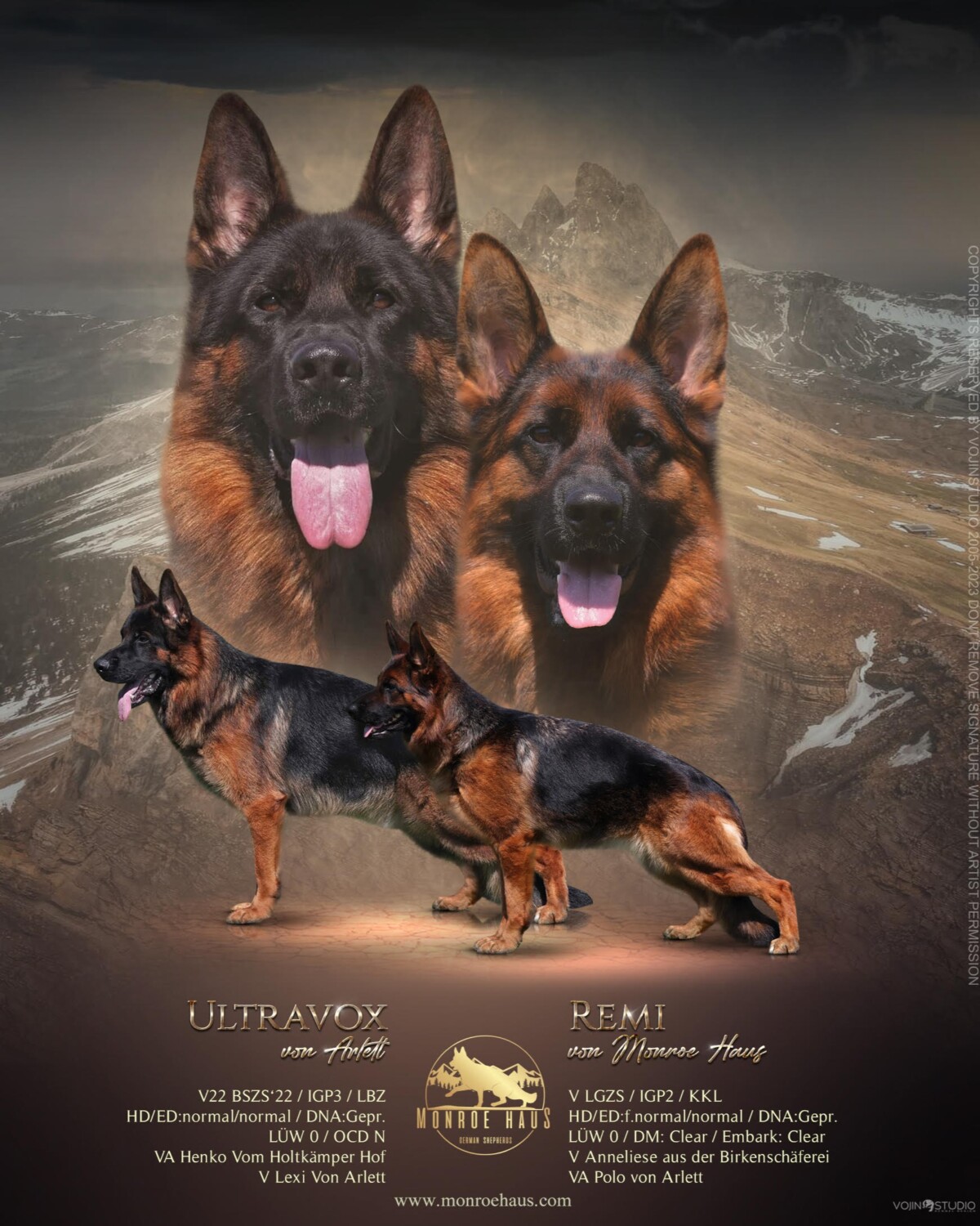Home - Monroe Haus German Shepherds